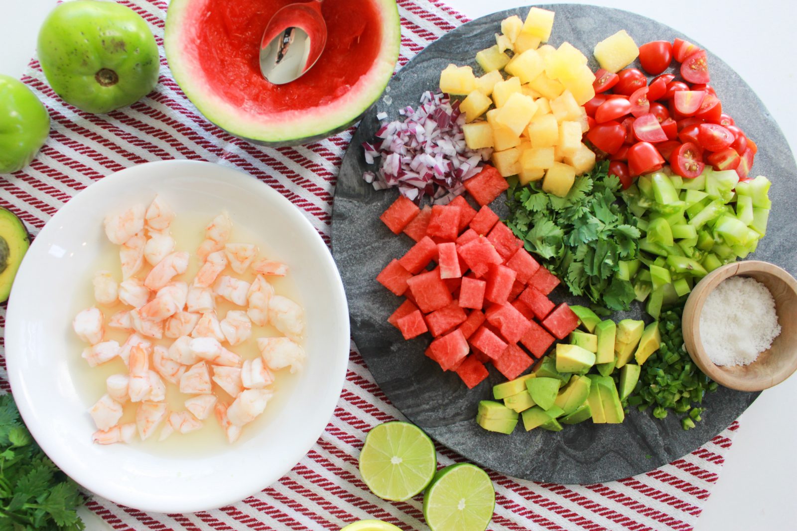 Watermelon Shrimp Ceviche + Exciting Announcement | Salt & Light ...